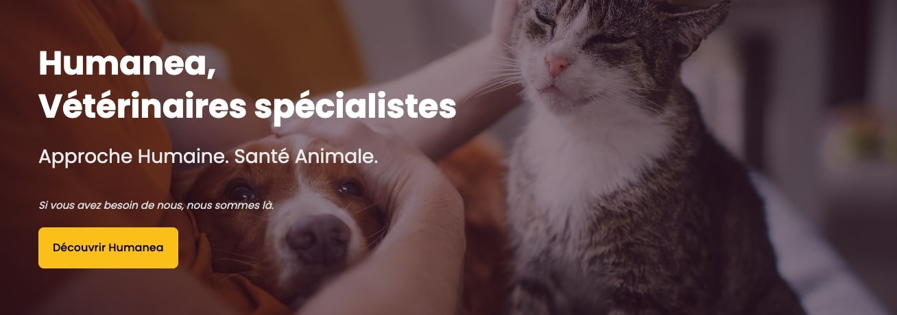 À propos d’Humanea - Humanea